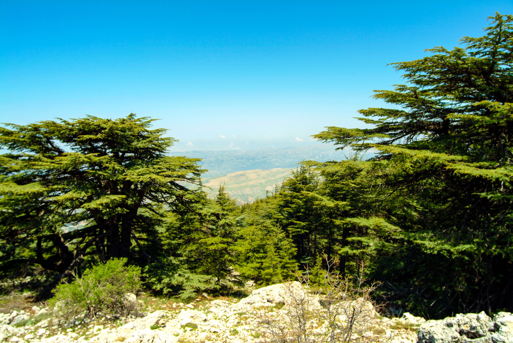 Shouf Biosphere Reserve | Chouf Mountains, Lebanon Chouf Mountains ...