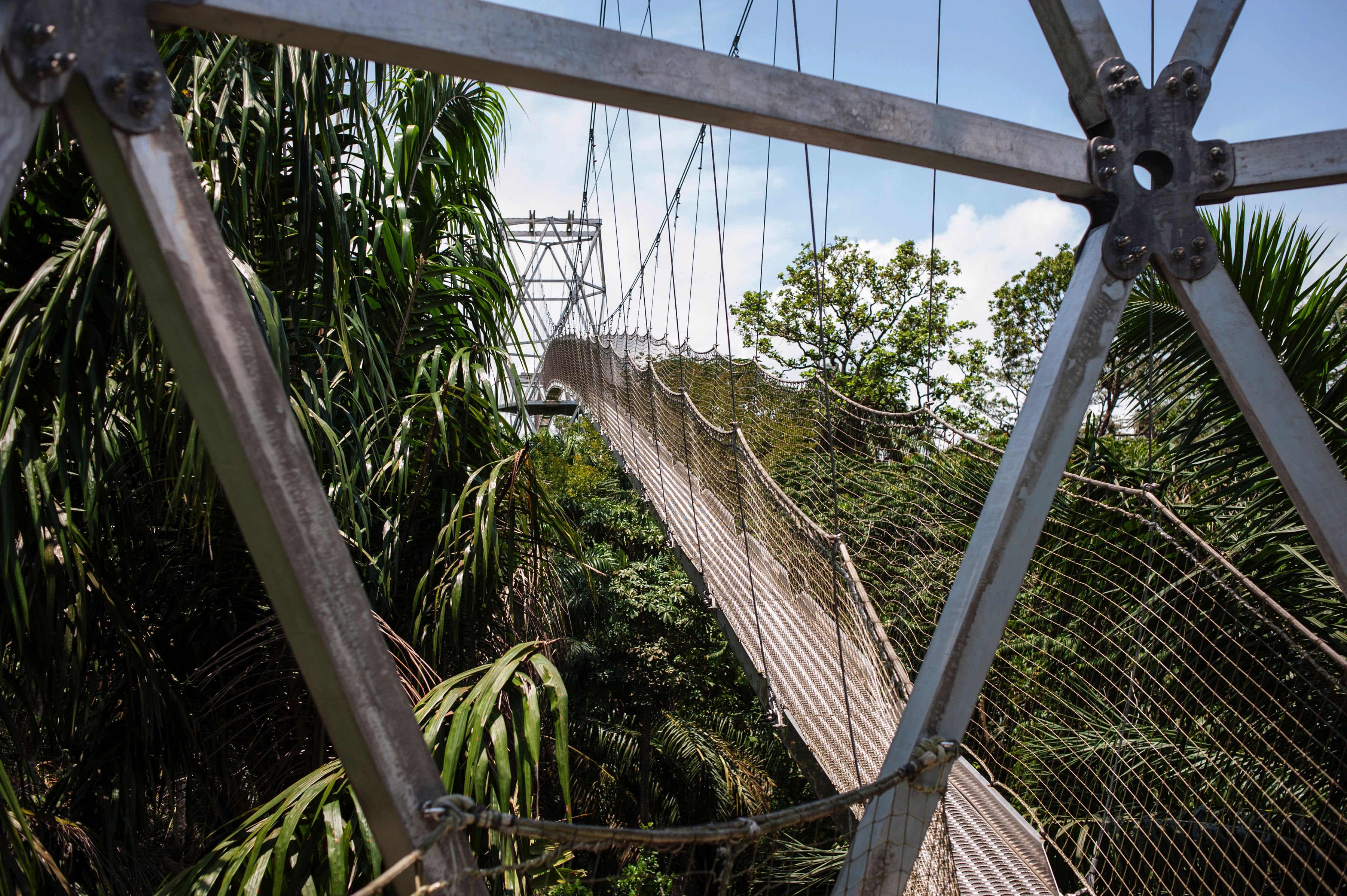 Lekki Conservation Centre | Lagos, Nigeria Attractions - Lonely Planet