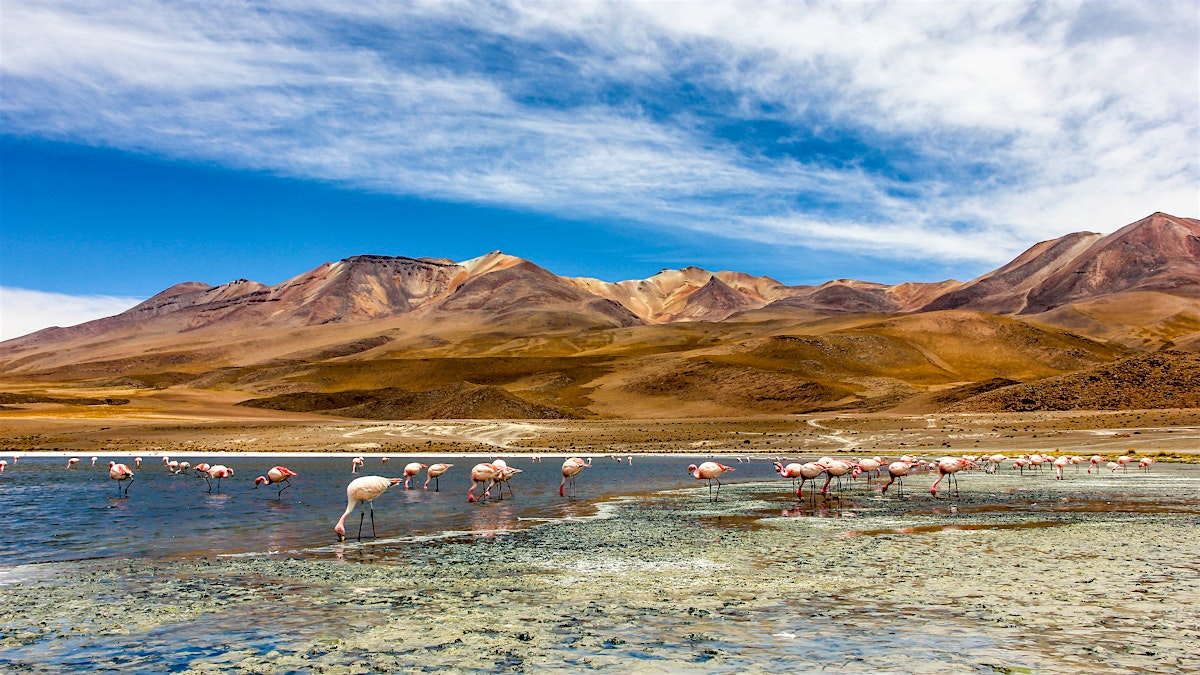 Bolivia travel - Lonely Planet