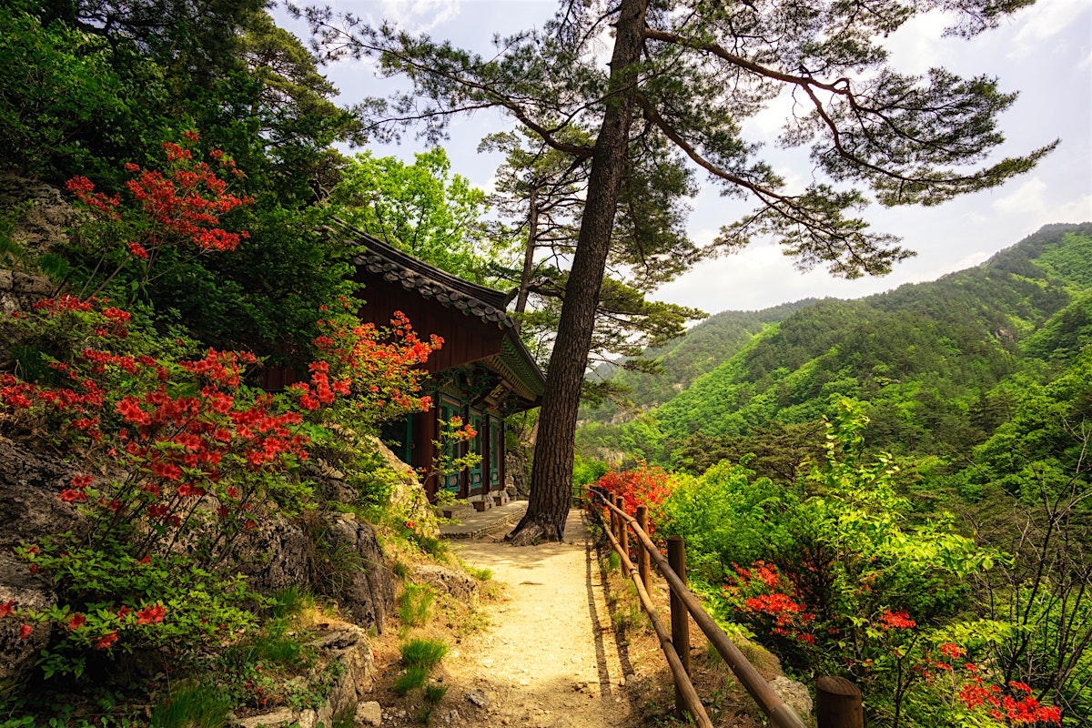 Gangwon-do travel | South Korea - Lonely Planet