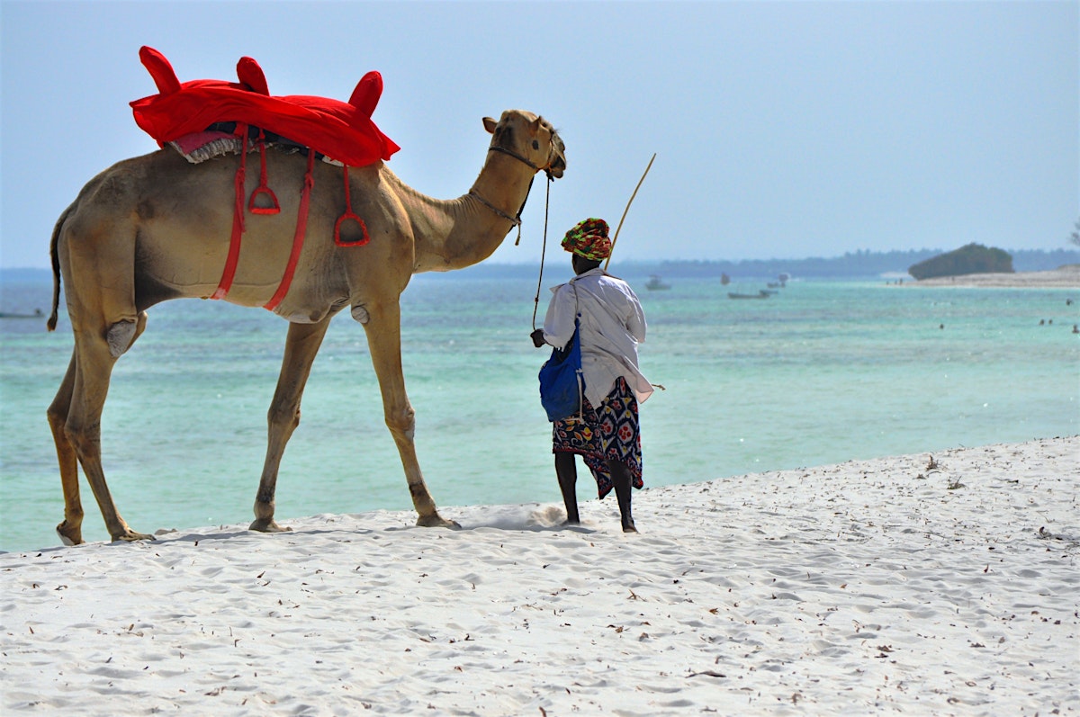 Malindi travel | Kenya - Lonely Planet