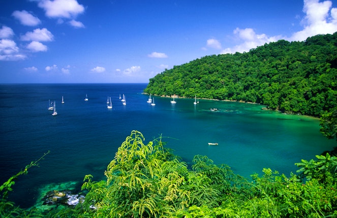 Pirate’s Bay in Charlotteville, Trinidad & Tobago - Lonely Planet